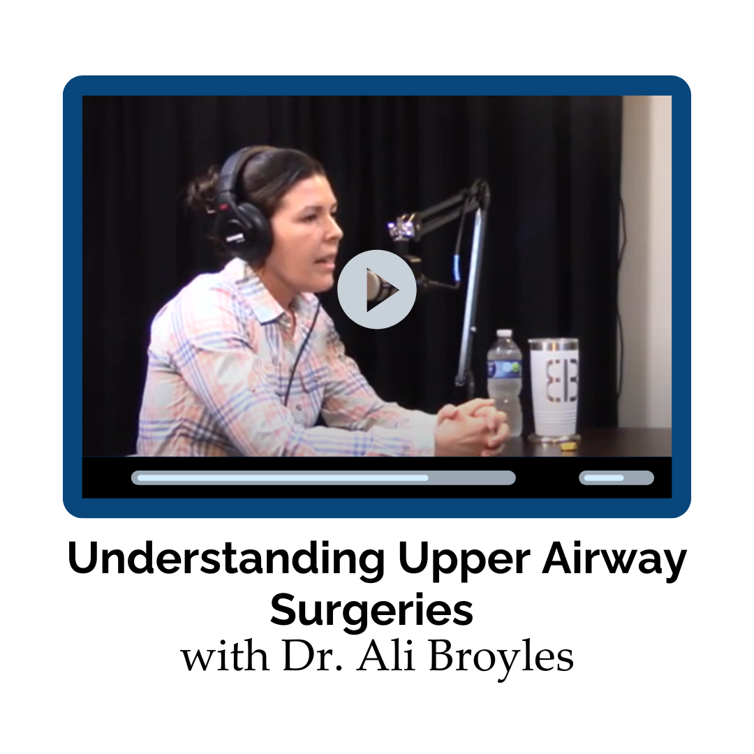 Rood & Riddle Veterinary Pharmacy