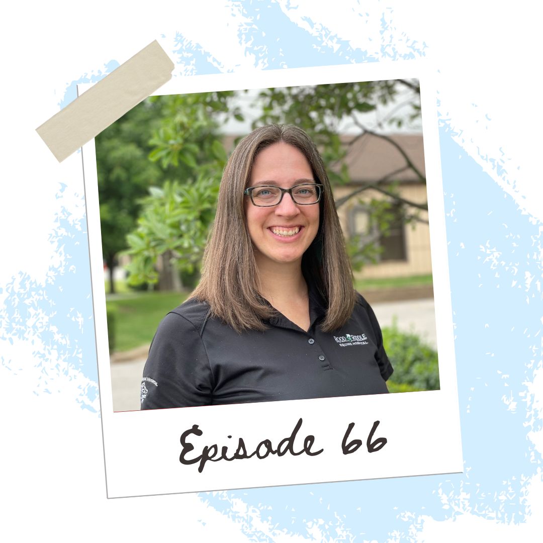 Rood & Riddle Veterinary Pharmacy